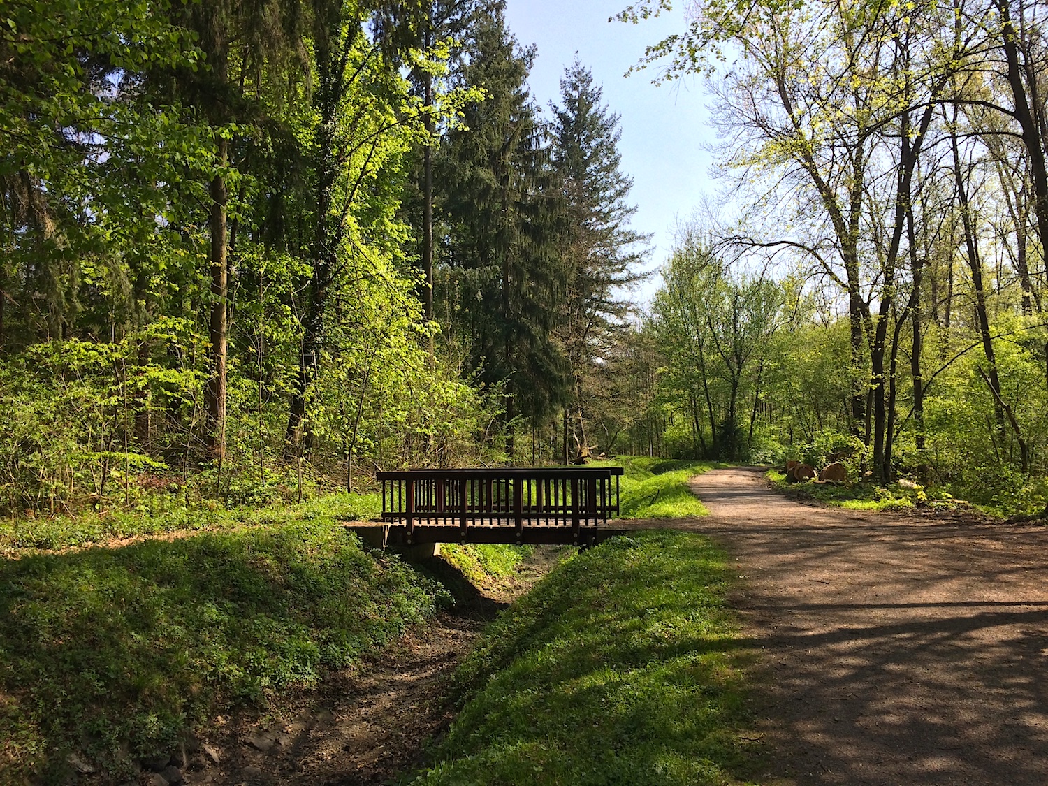 Kleines Juwel in Karlsruhe: der Oberwald mit Tierpark und Seen - JEAN ...