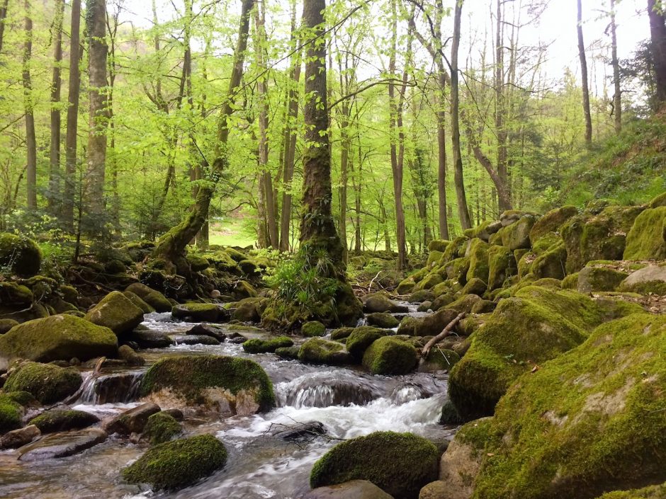 Wasserfall-Rundweg um die Geroldsauer Wasserfälle - JEAN MATHIEU